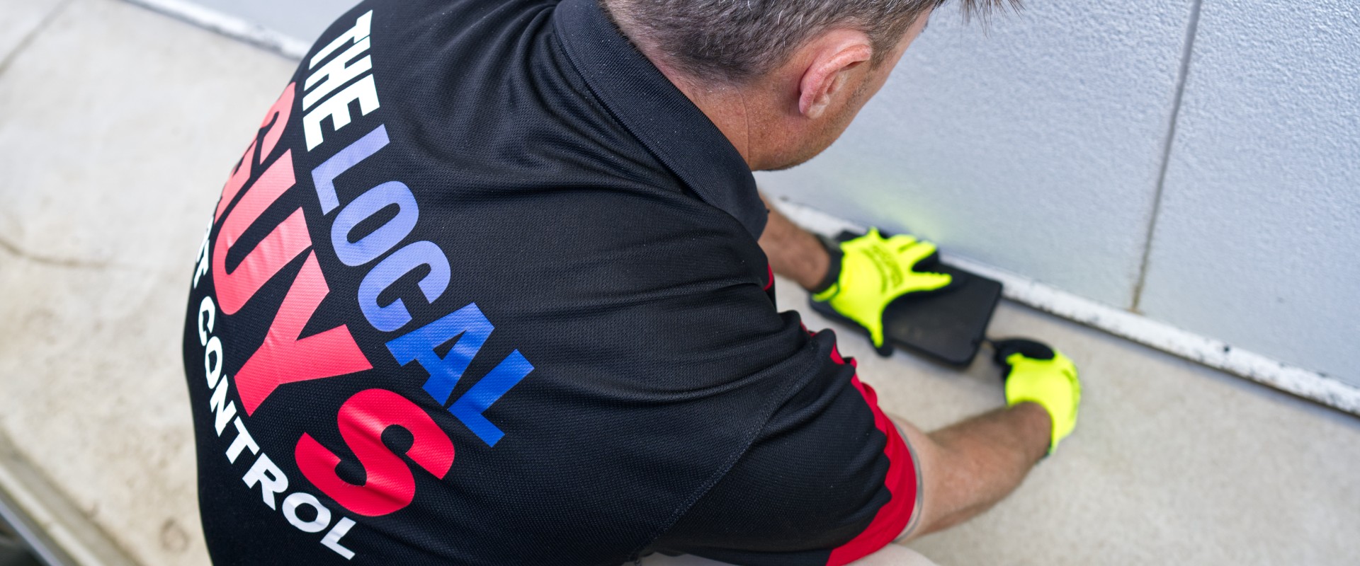 Rodent Control Gold Coast | The Local Guys