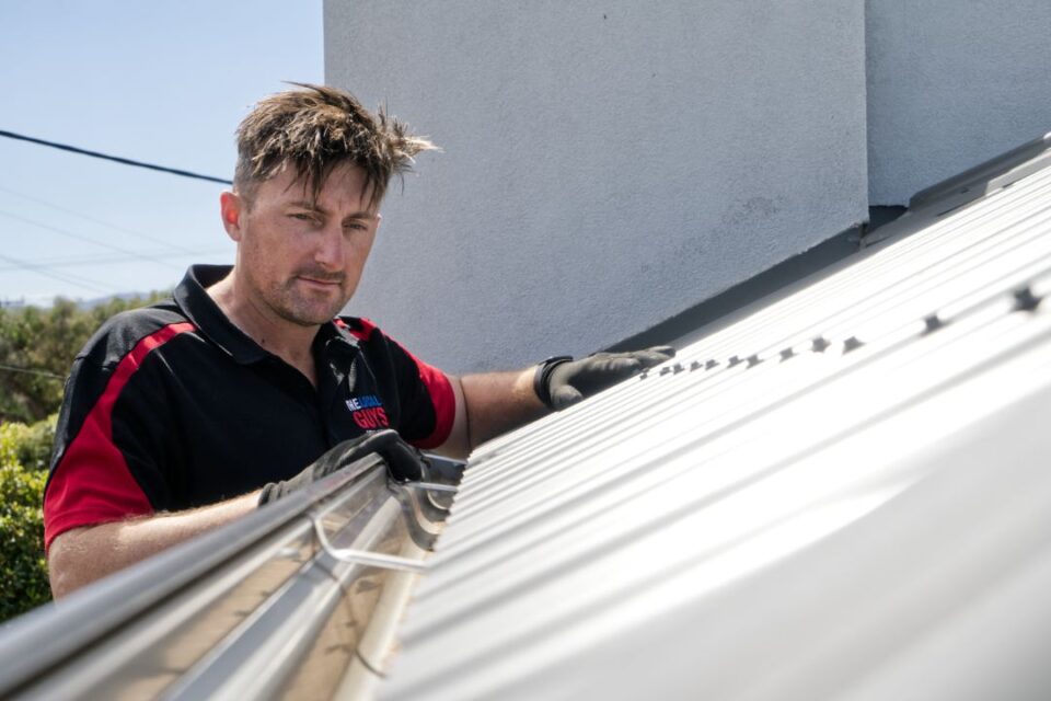 How to Start a Pest Control Business in Australia in 2026 | The Local Guys